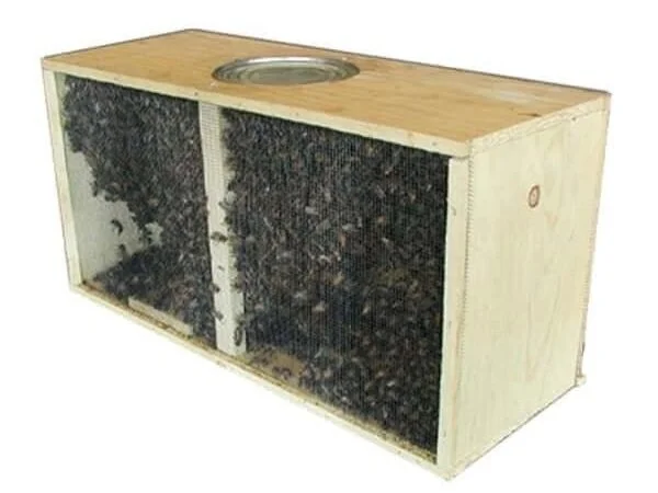 Package Bees — Maine Bee Company