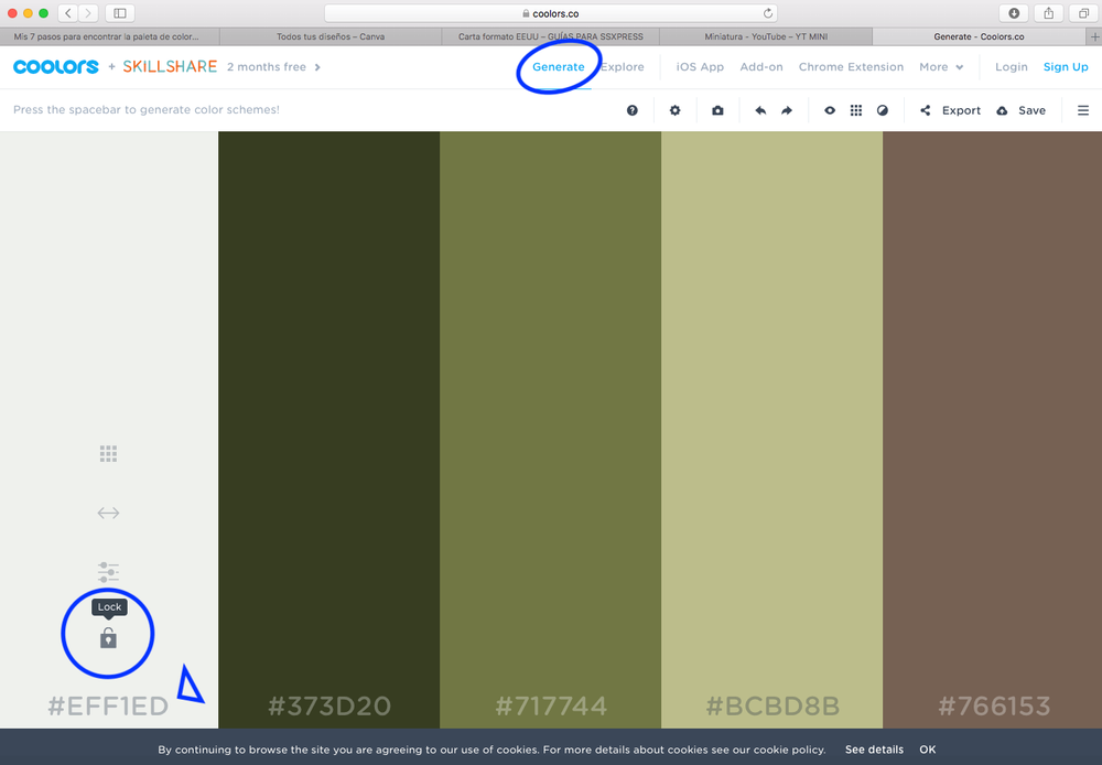 7 pasos para encontrar la paleta de colores perfecta para tu marca ...