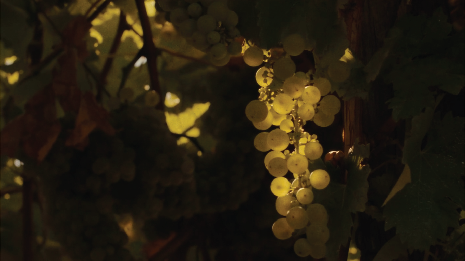 The Well Church - Courses — Welcome to The Well Church. A growing ...