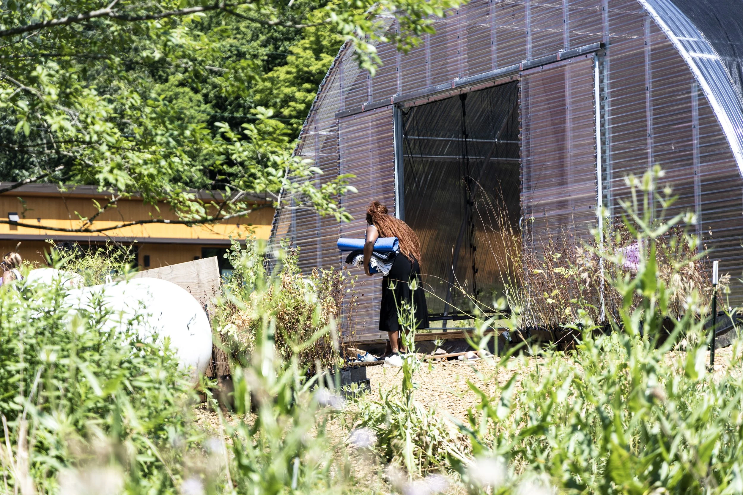 Work With Us — Black Girl Environmentalist