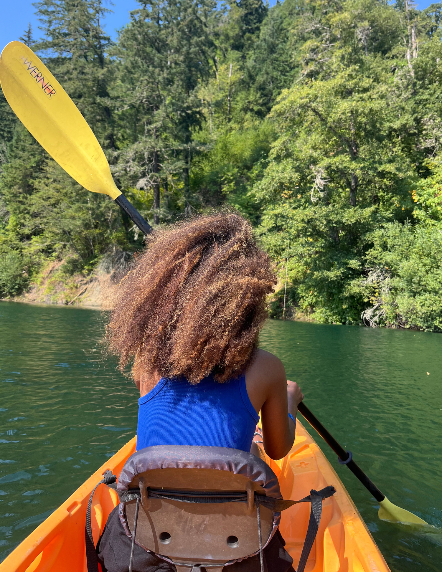 Programs — Black Girl Environmentalist