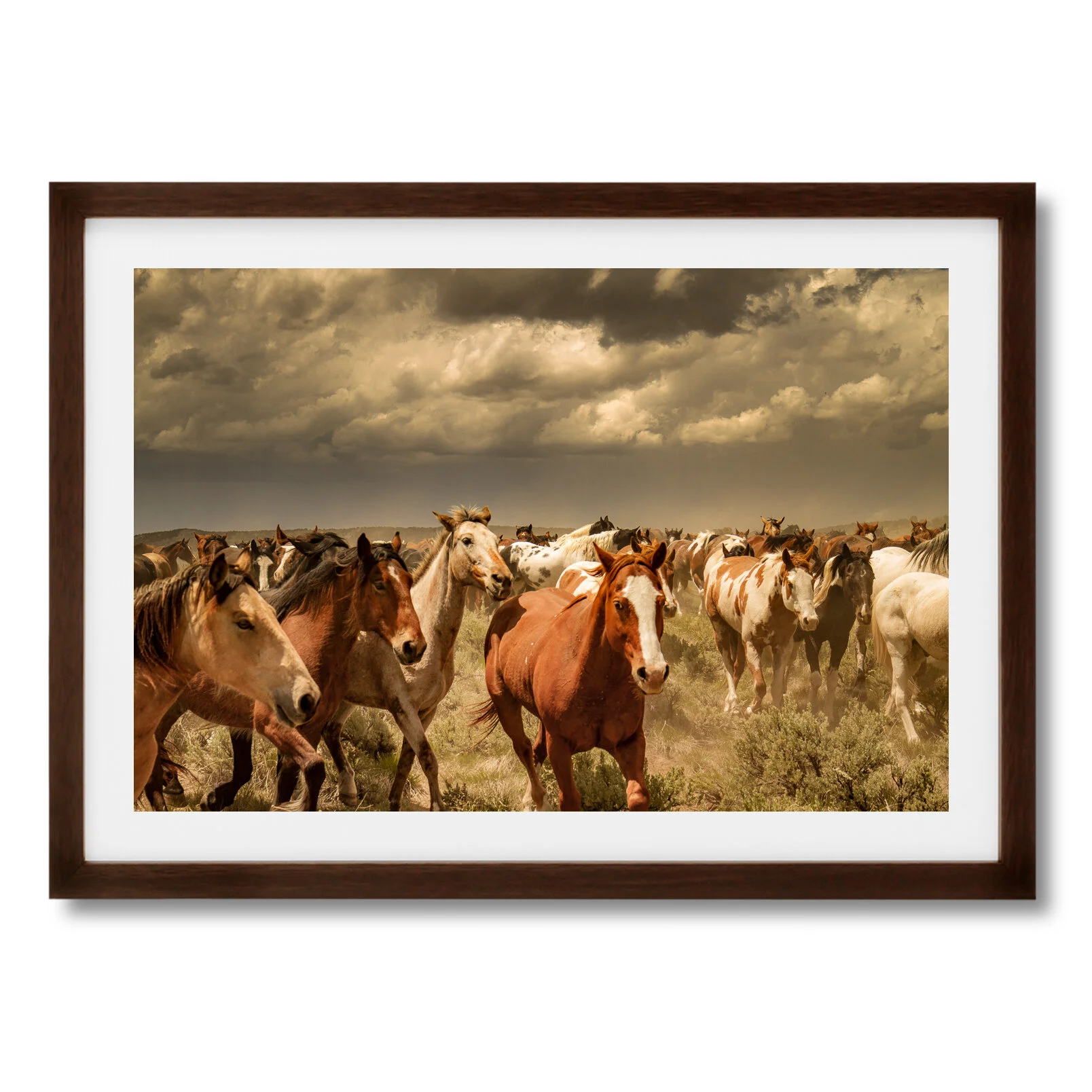 Western Sky — TORI GAGNE