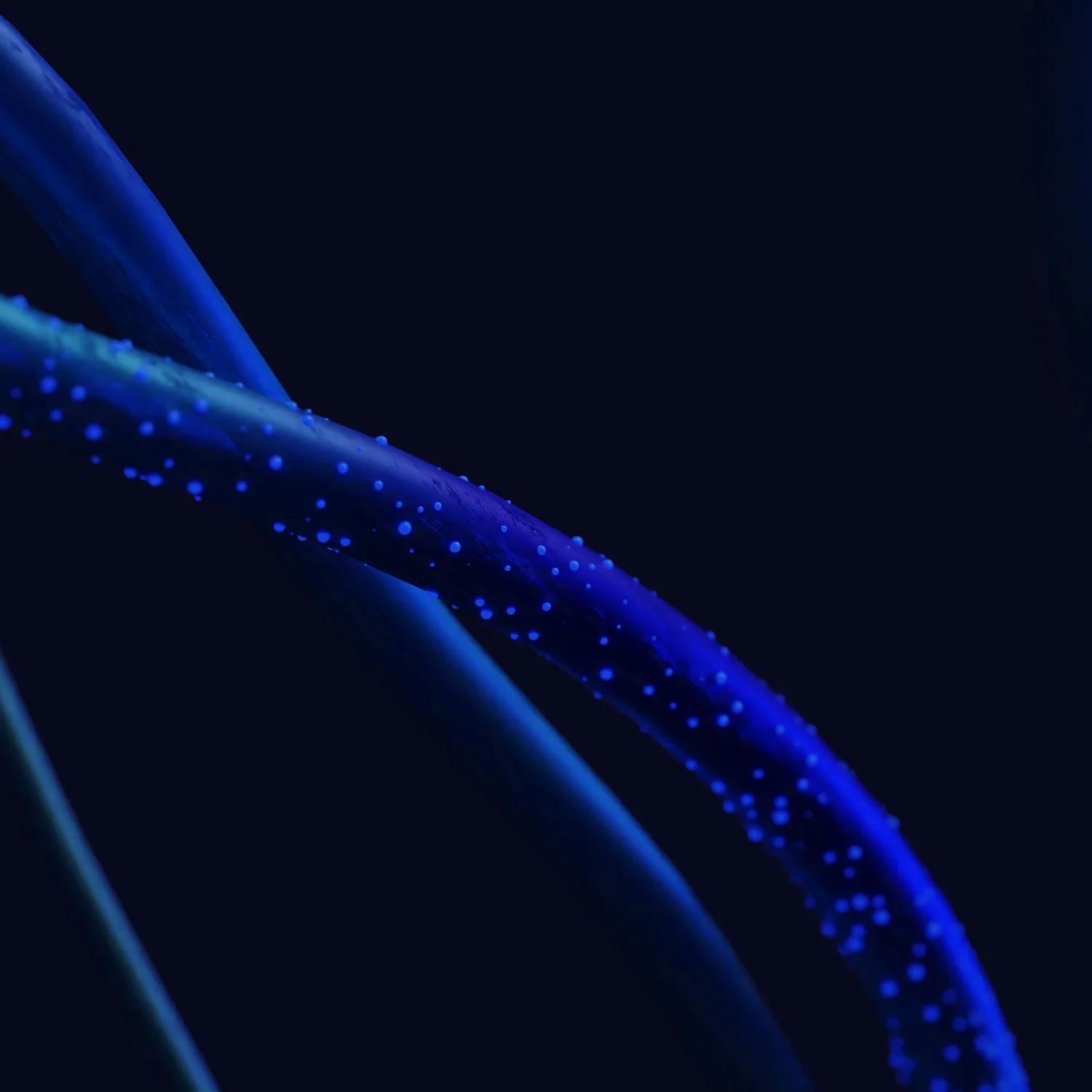 2023 Kyoorius Creative Awards