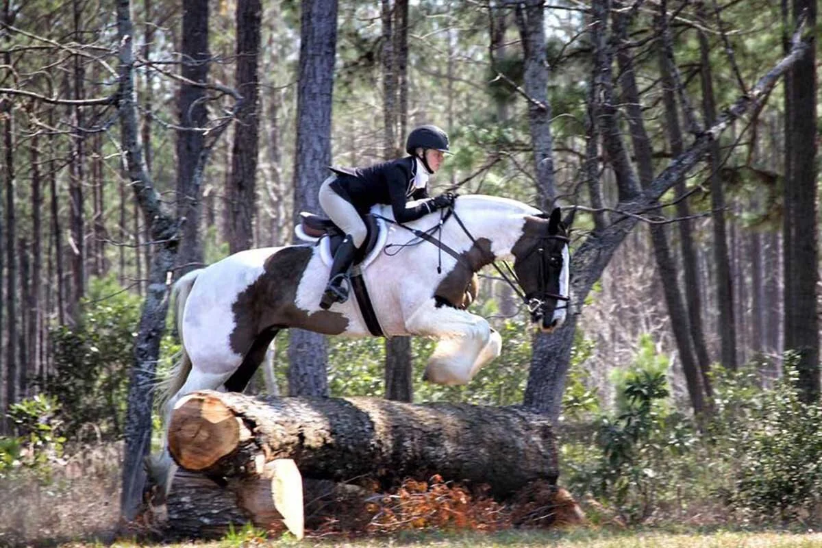 The Stables — White Horses LLC