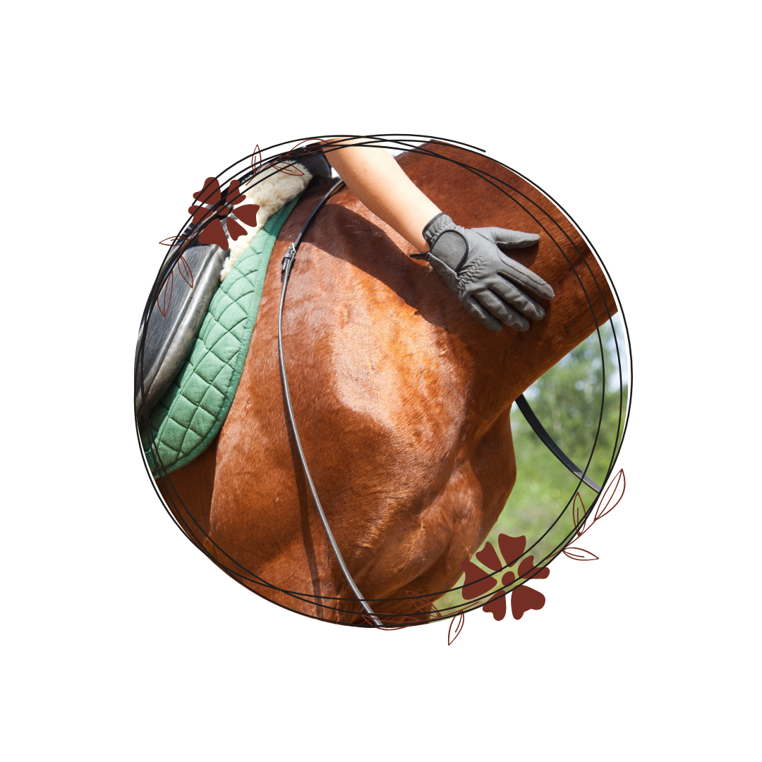 Le Reiki Usui pour le Bien-être de ton Cheval : Une approche ...