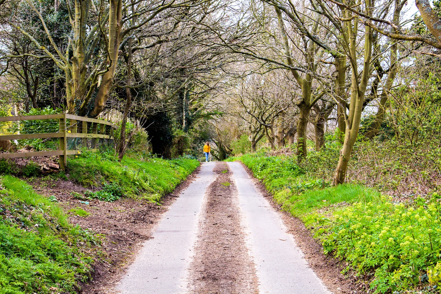 Quiet Lanes Suffolk | What is a Quiet Lane?