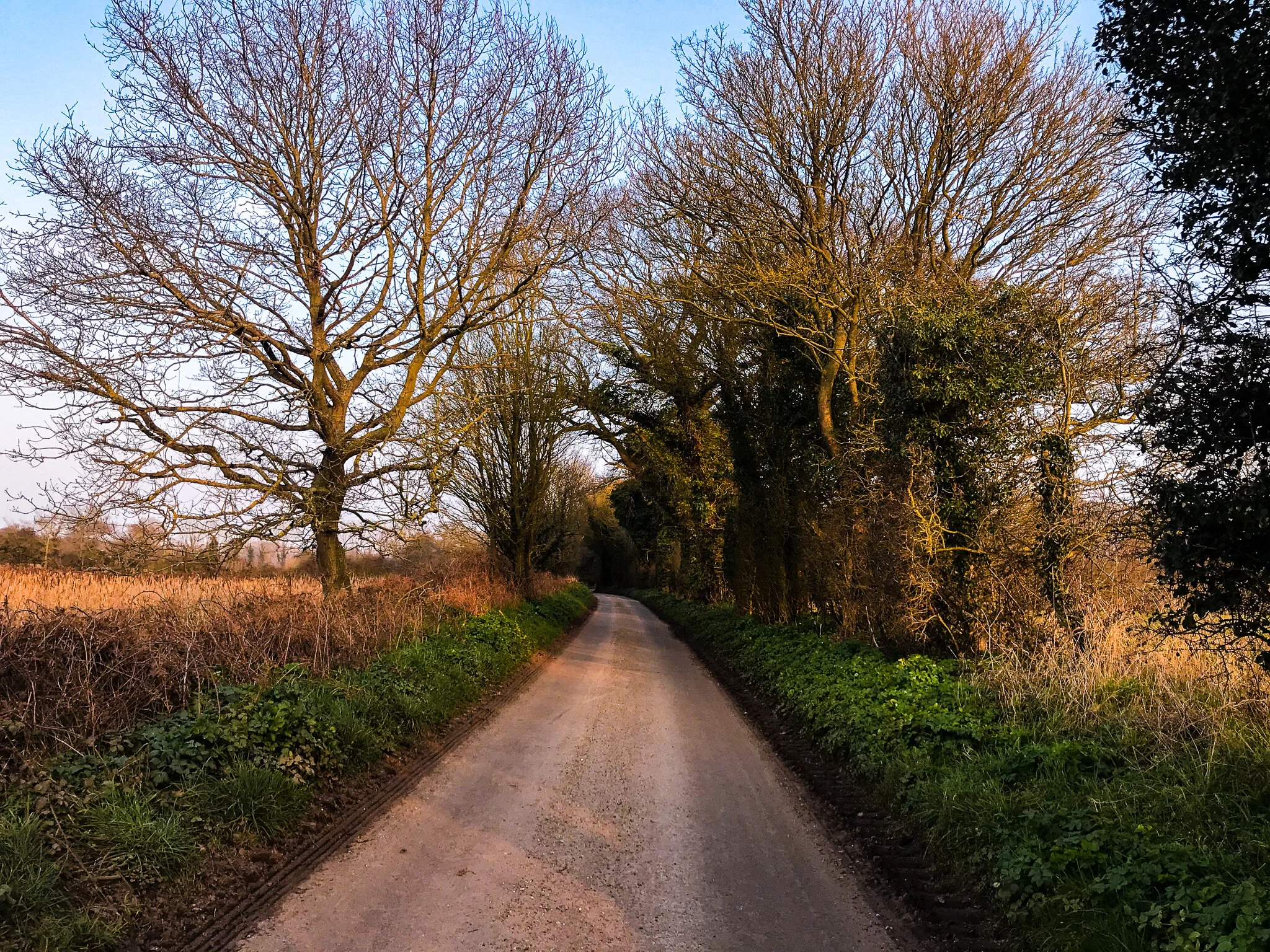Quiet Lanes Suffolk | What is a Quiet Lane?