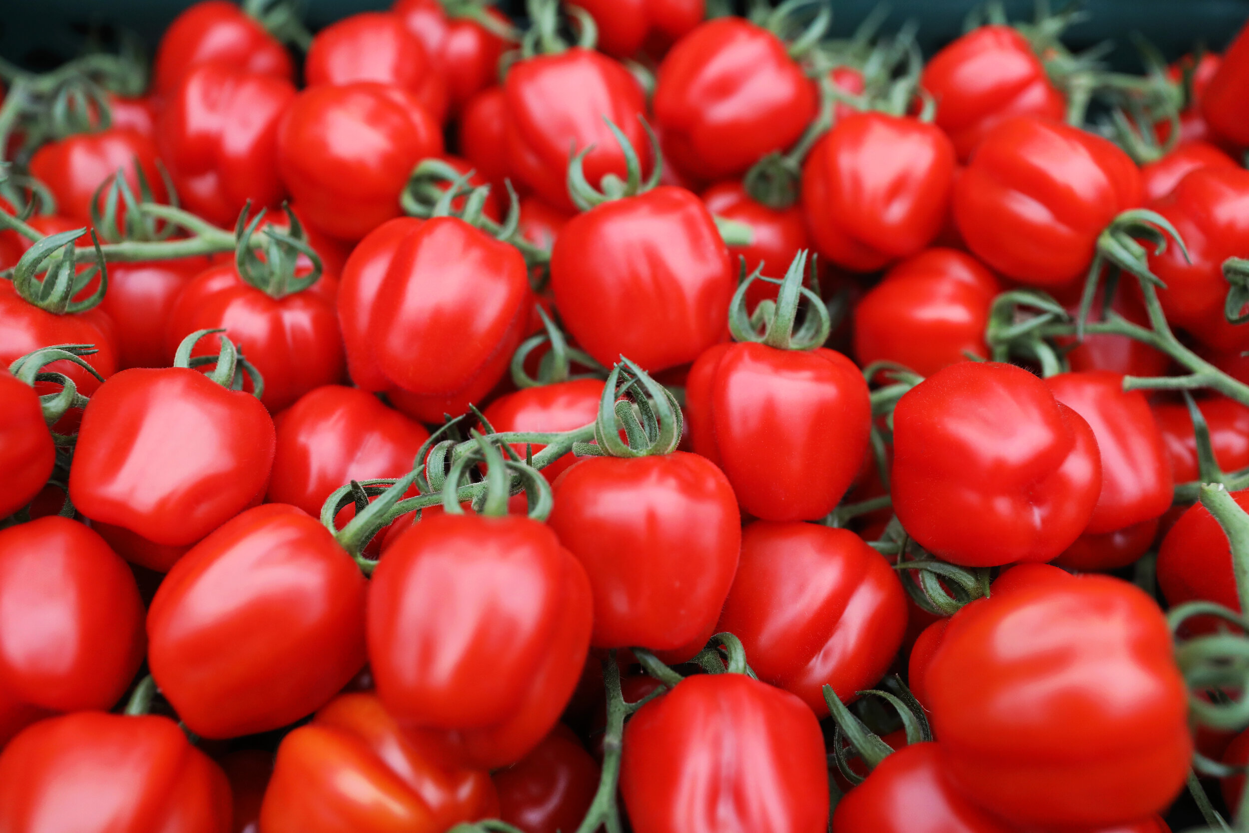 British Tomato Growers Association