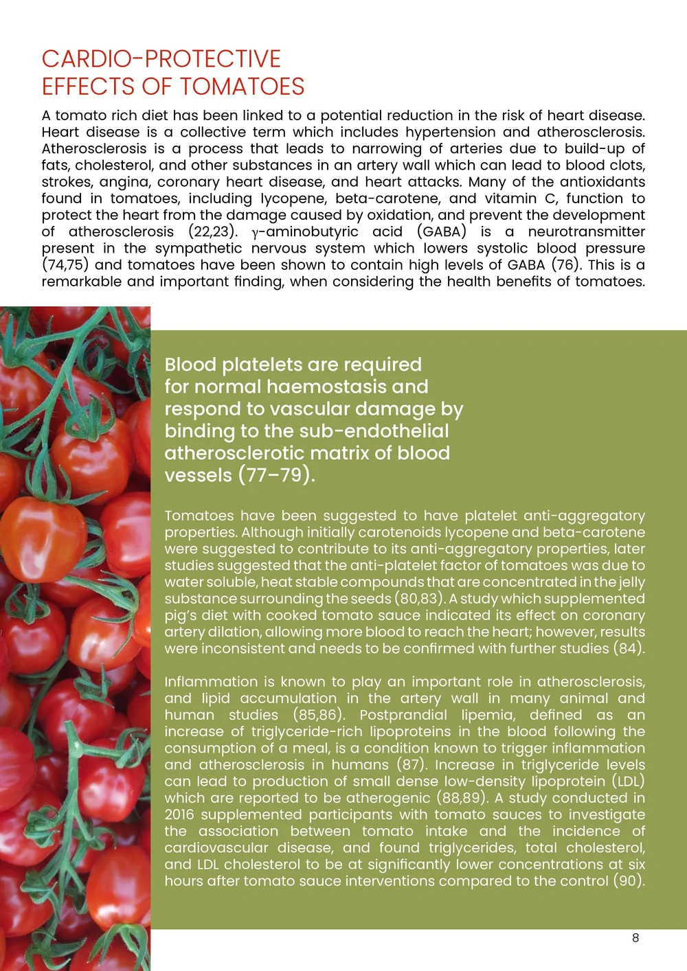 Tomatoes: food for health — British Tomato Growers Association