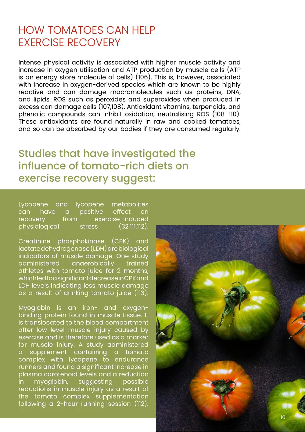 Tomatoes: food for health — British Tomato Growers Association