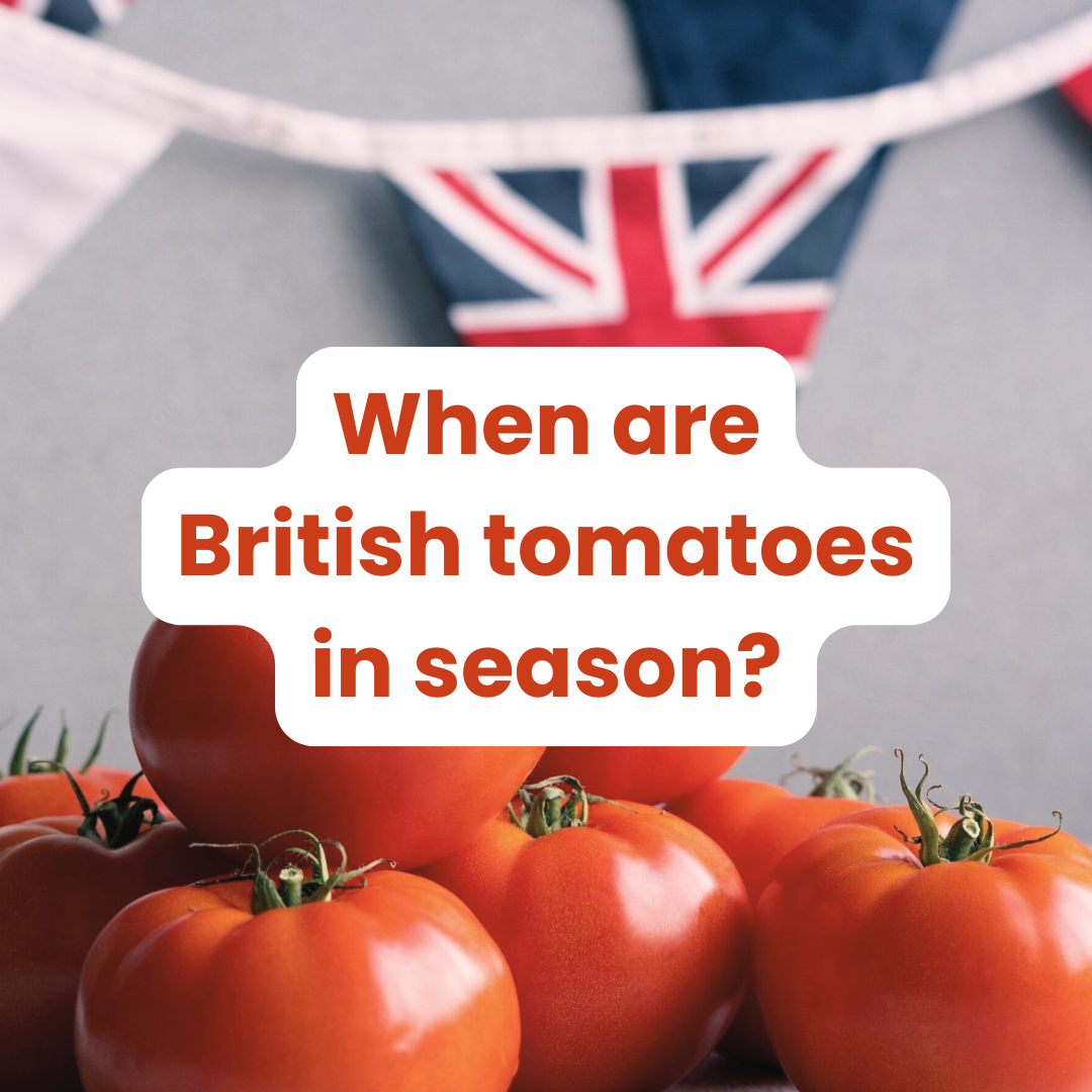Members' area — British Tomato Growers Association
