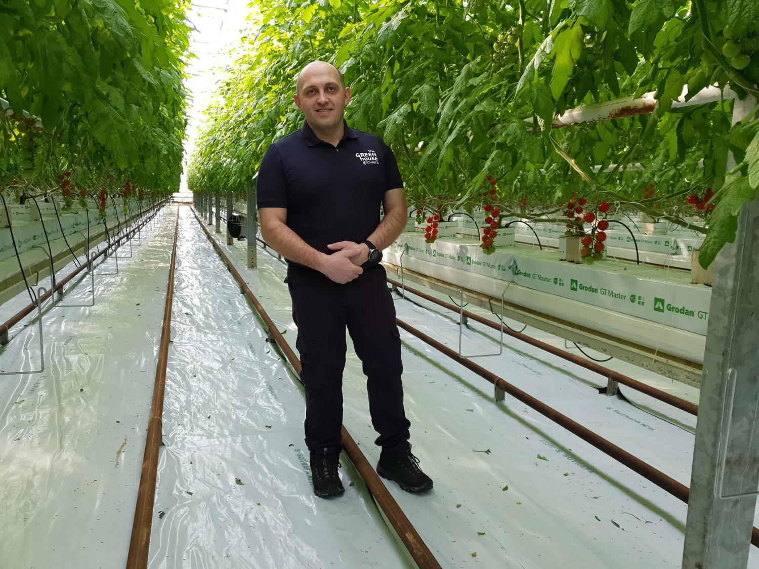 About — British Tomato Growers Association