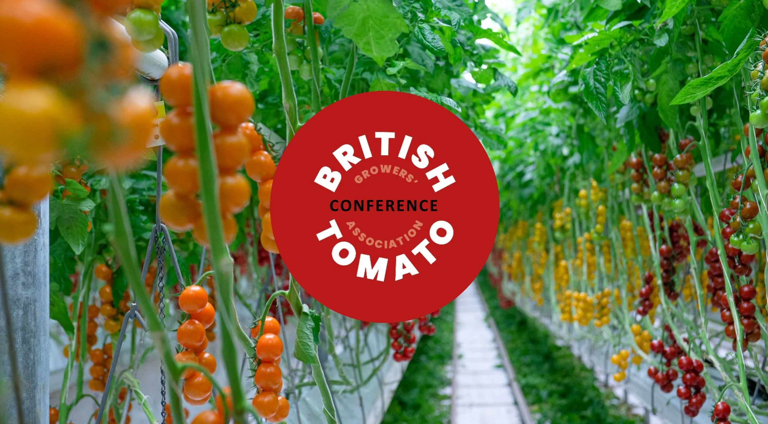 British Tomato Growers Association