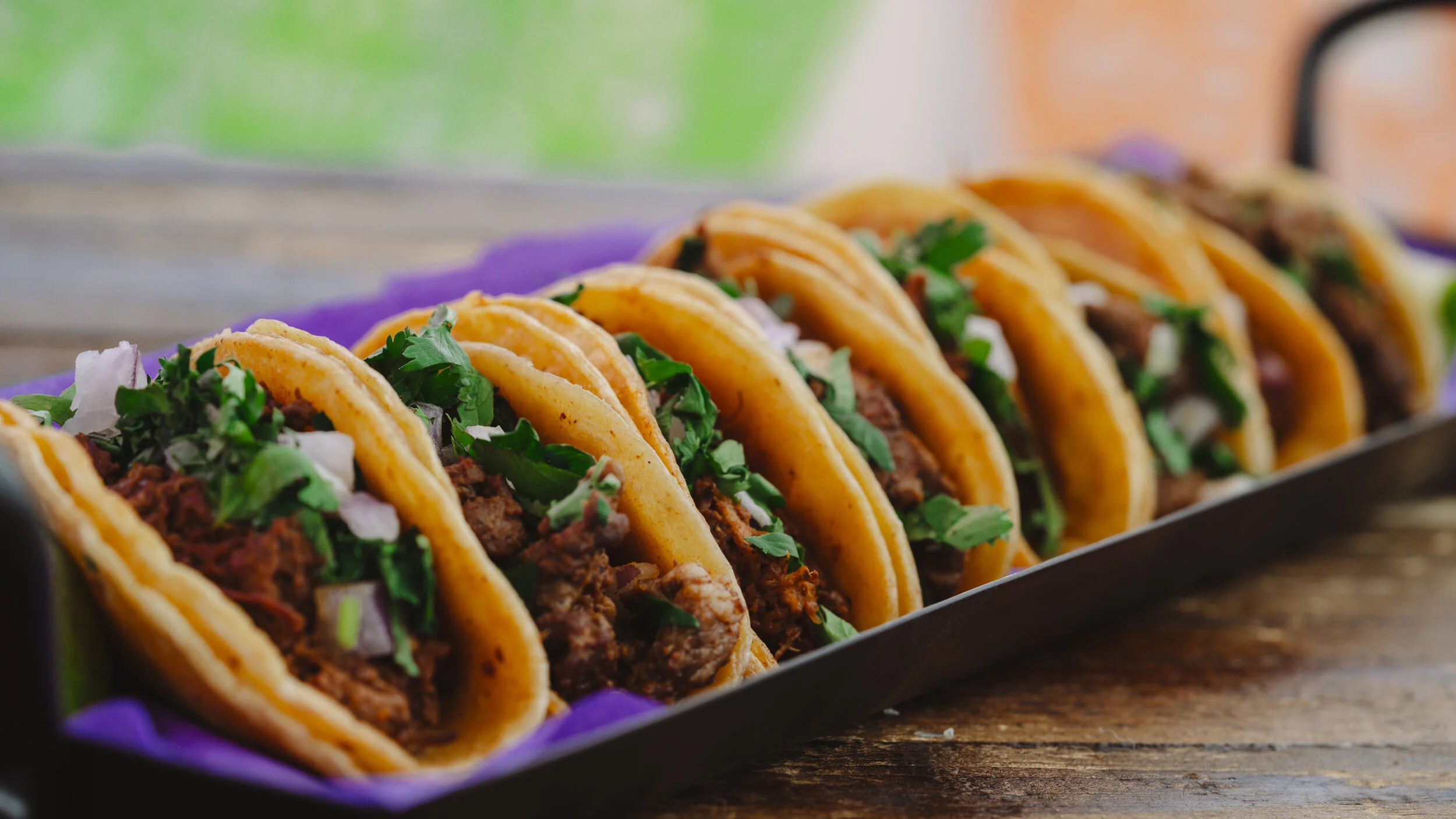 Catering — Fiesta Taco Truck