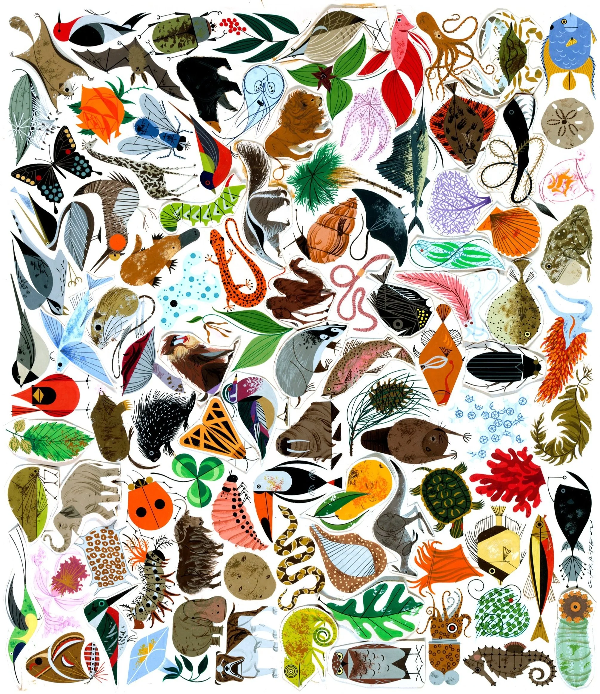 Charley Harper — ARTESTAR