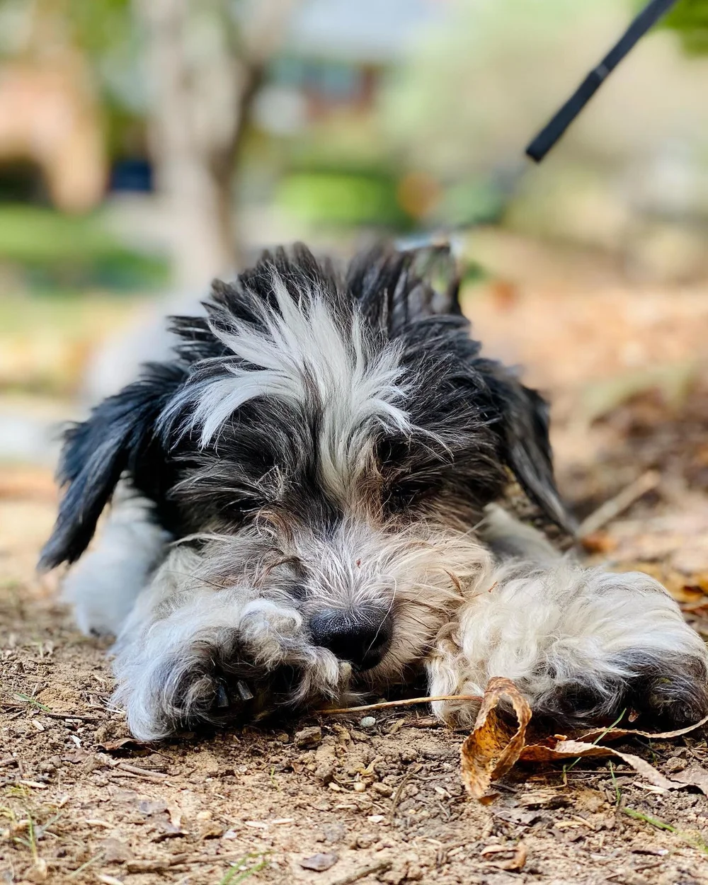 The Biggest Misconception About Estate Sales — Pure & Simple