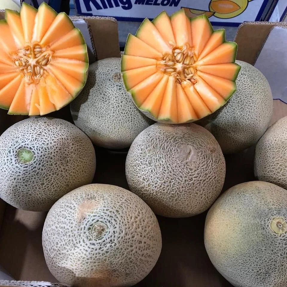Our Team — Direct Produce Distributors