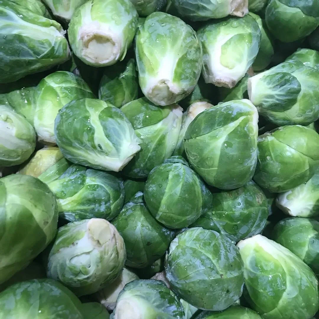 Our Team — Direct Produce Distributors