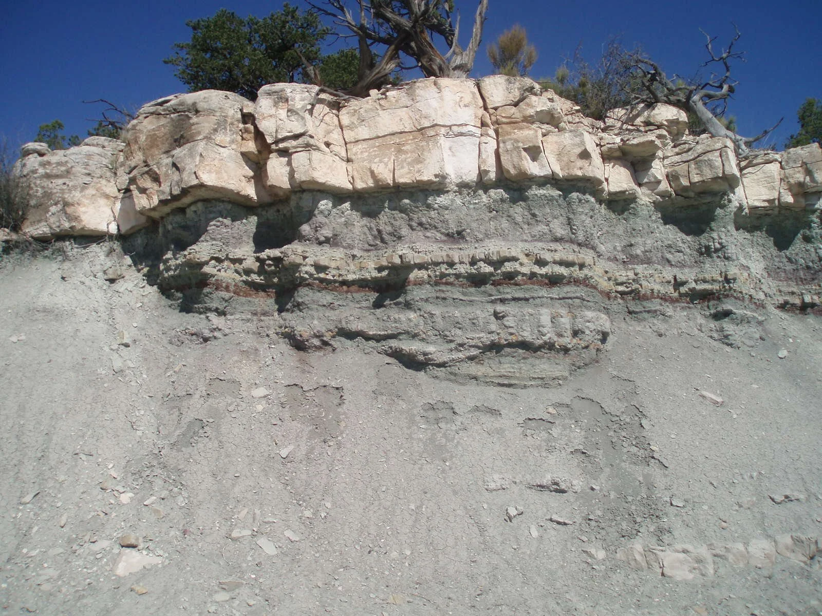 Geotechnical Hazard Assessment — Civil Renewables, Inc.
