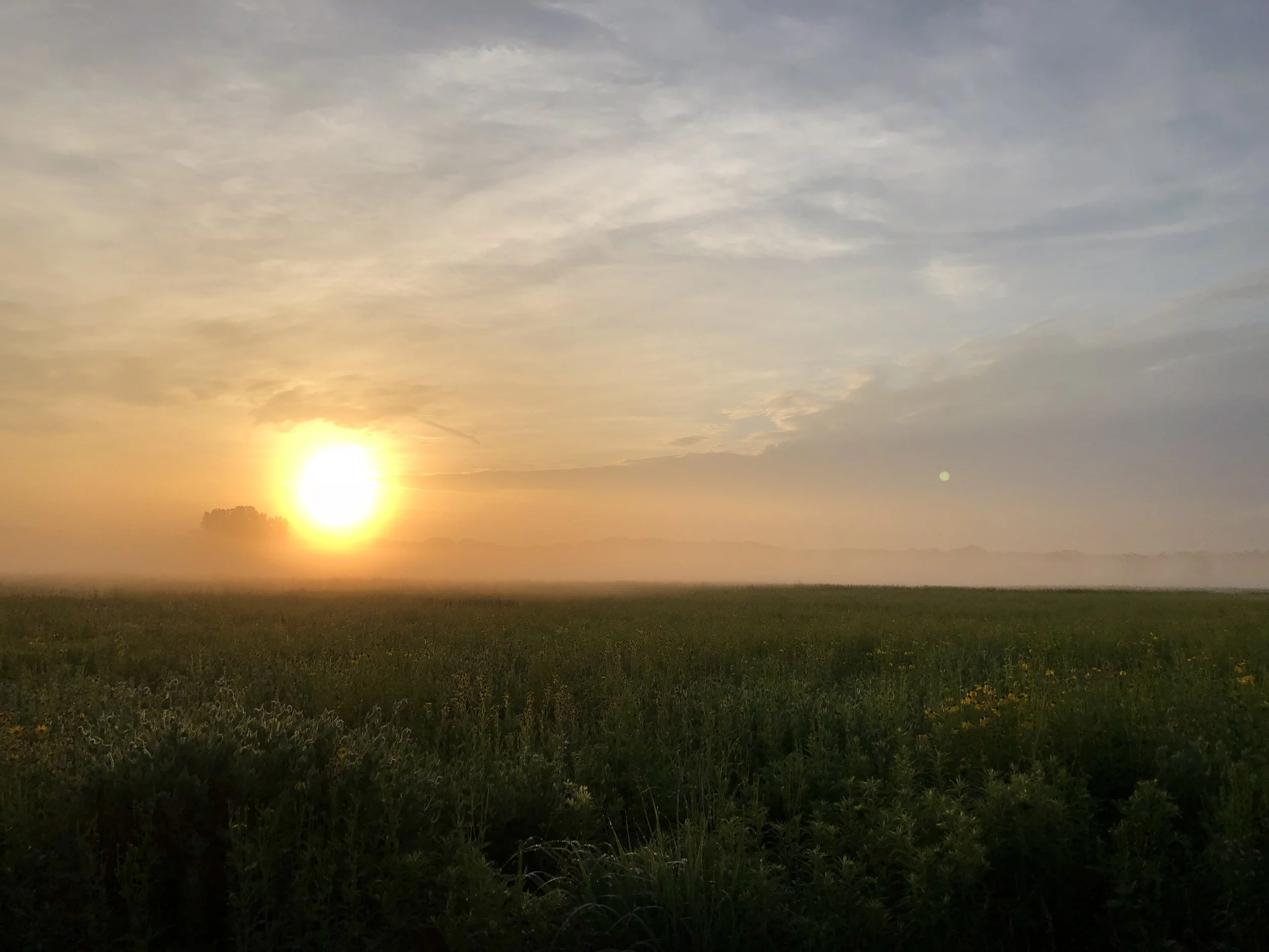 Summertime is PRAIRIE Exciting! — Balanced Family Academy