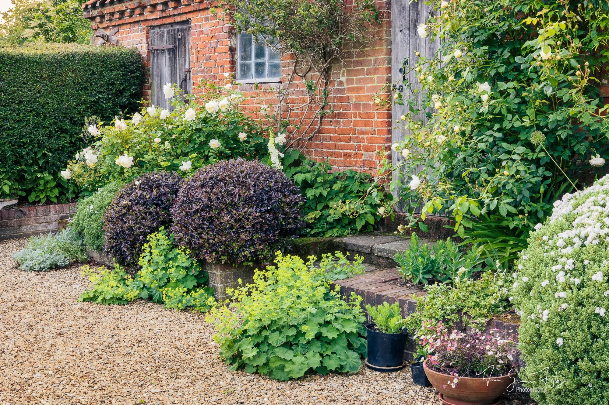 Climate Blog - Garden Resilience - Clothing House Walls with Plants pt2 ...