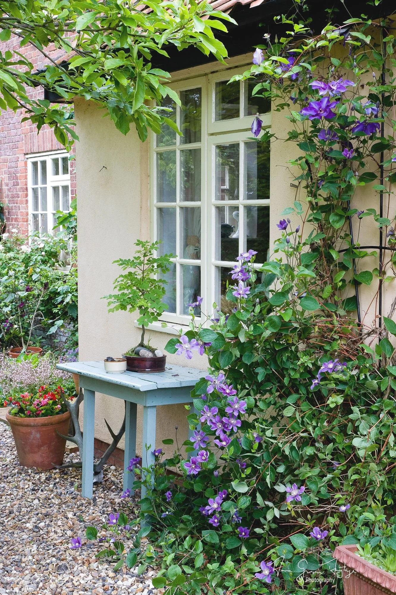 Climate Blog - Garden Resilience - Clothing House Walls with Plants pt2 ...