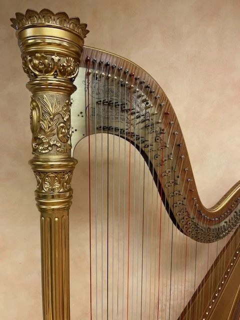 Used Harps — Virginia Harp Center
