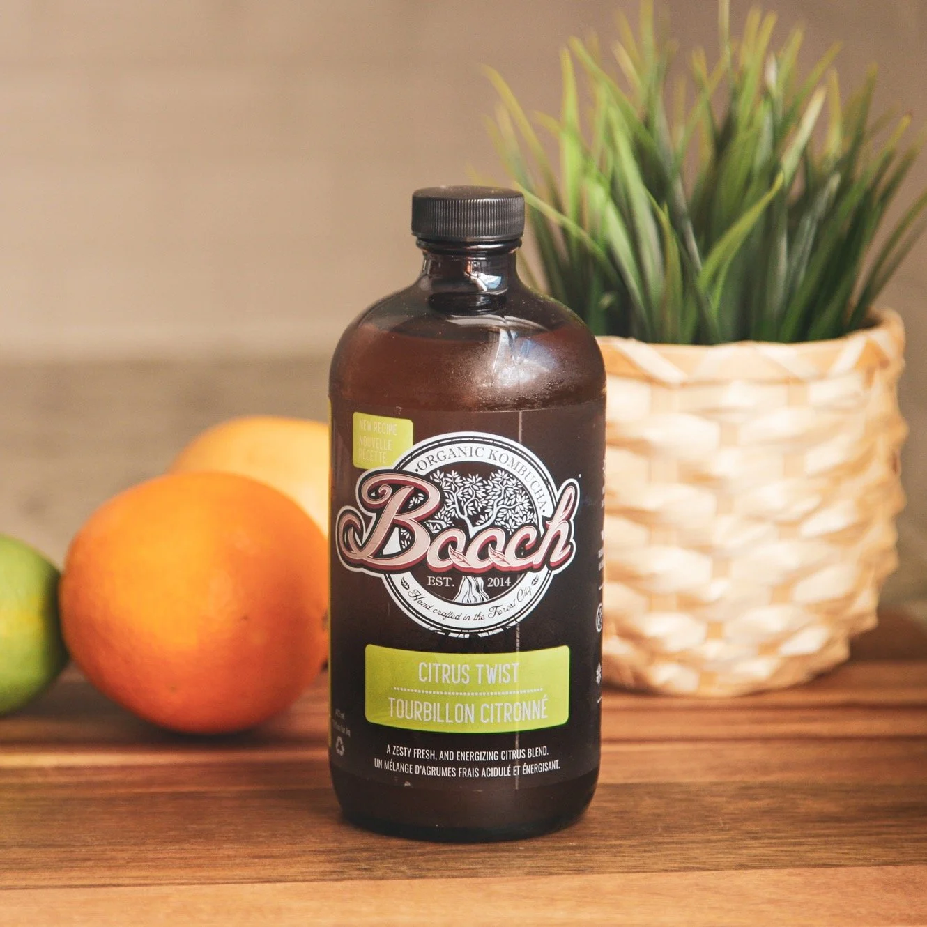 Dry January: Triple Citrus Kombucha Fizz | Some Good Clean Fun by Sarah ...