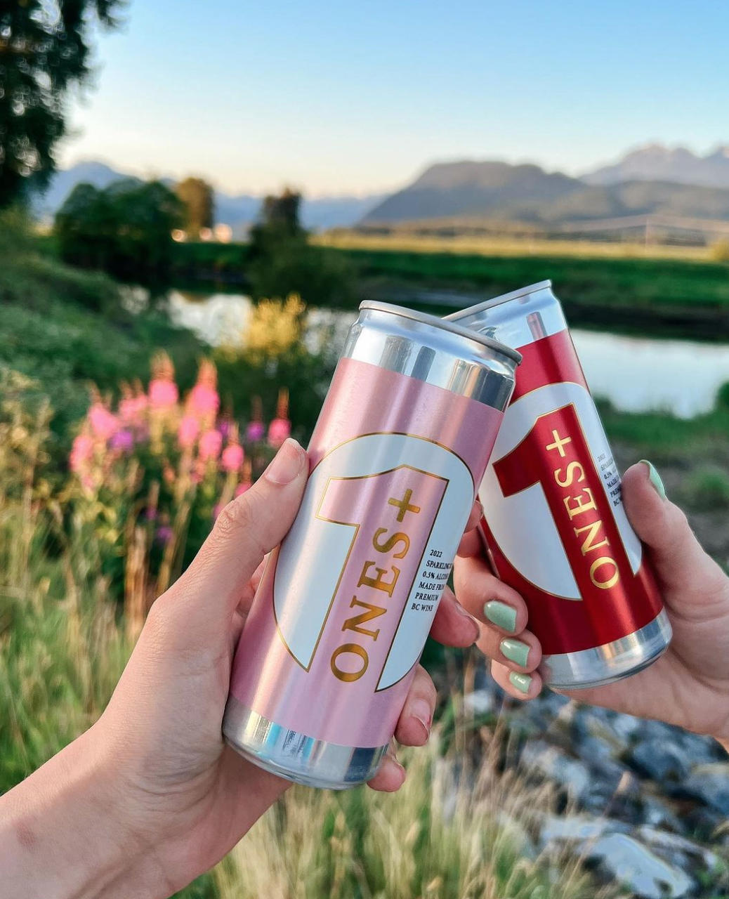 Drink Ones+ Canadian Non-Alcoholic Wine Review | Some Good Clean Fun by ...