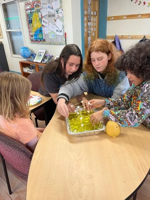 Stepping Stones Montessori School