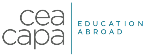 CEA CAPA — Infinedi Partners