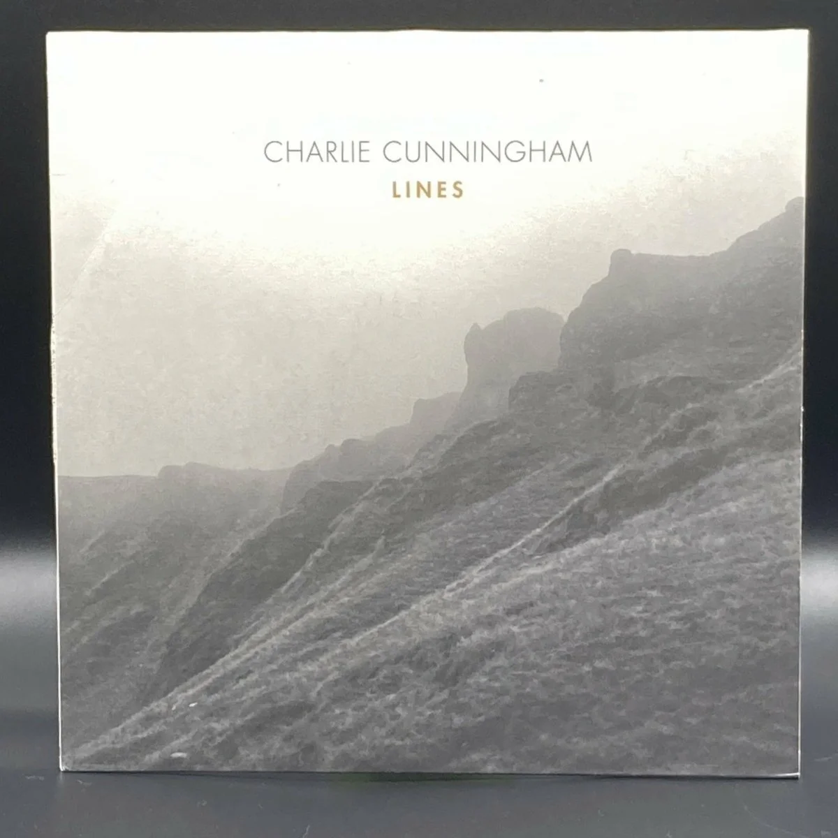Charlie Cunningham - Lines 12" vinyl record — Ominous Synths Records