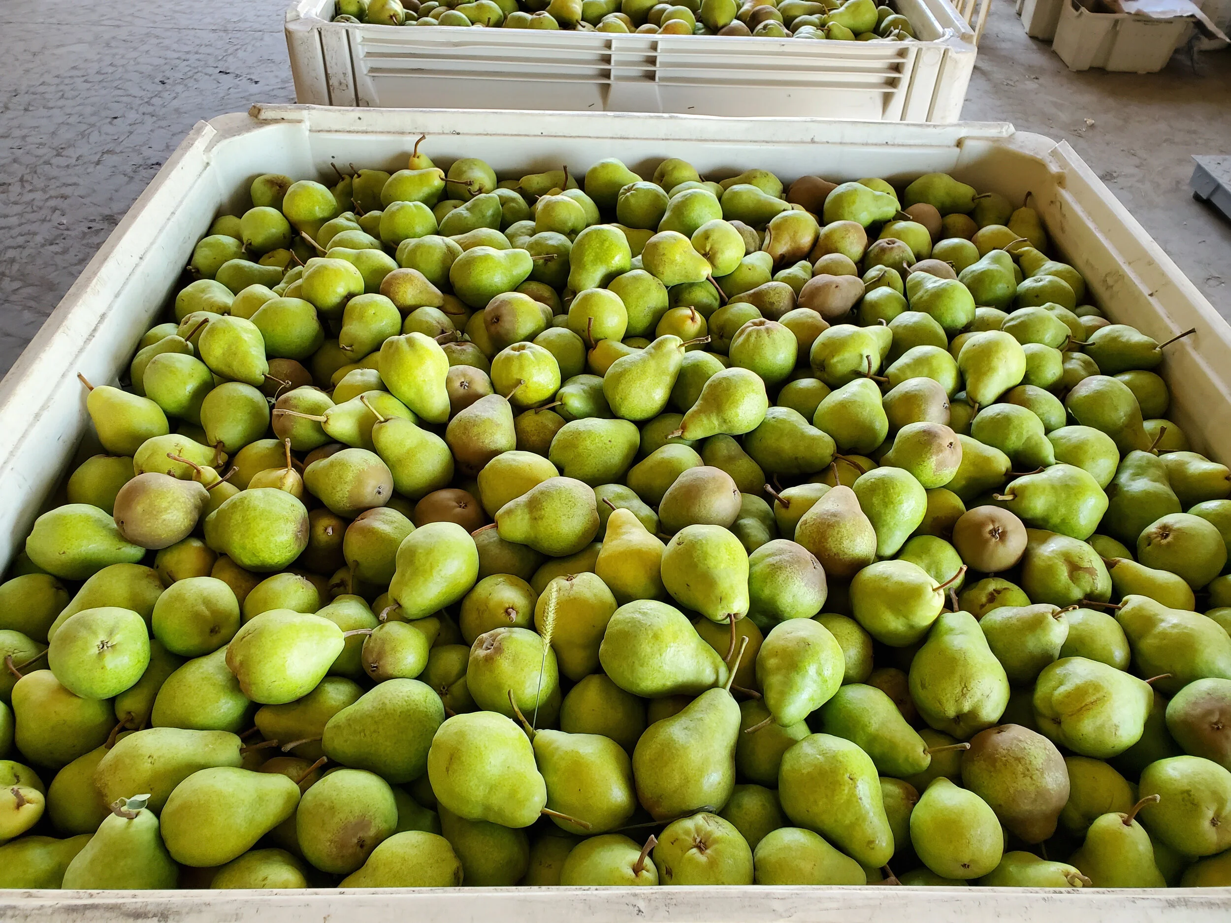 Farm Box — Tonnemaker Hill Farm