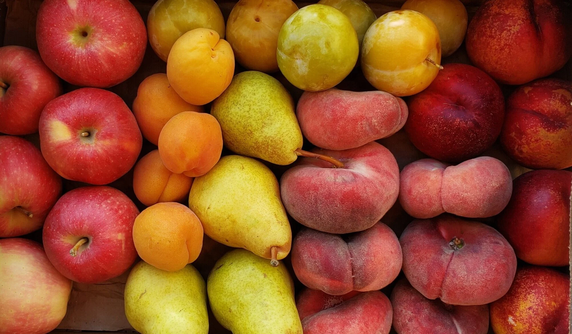 Farm Box — Tonnemaker Hill Farm