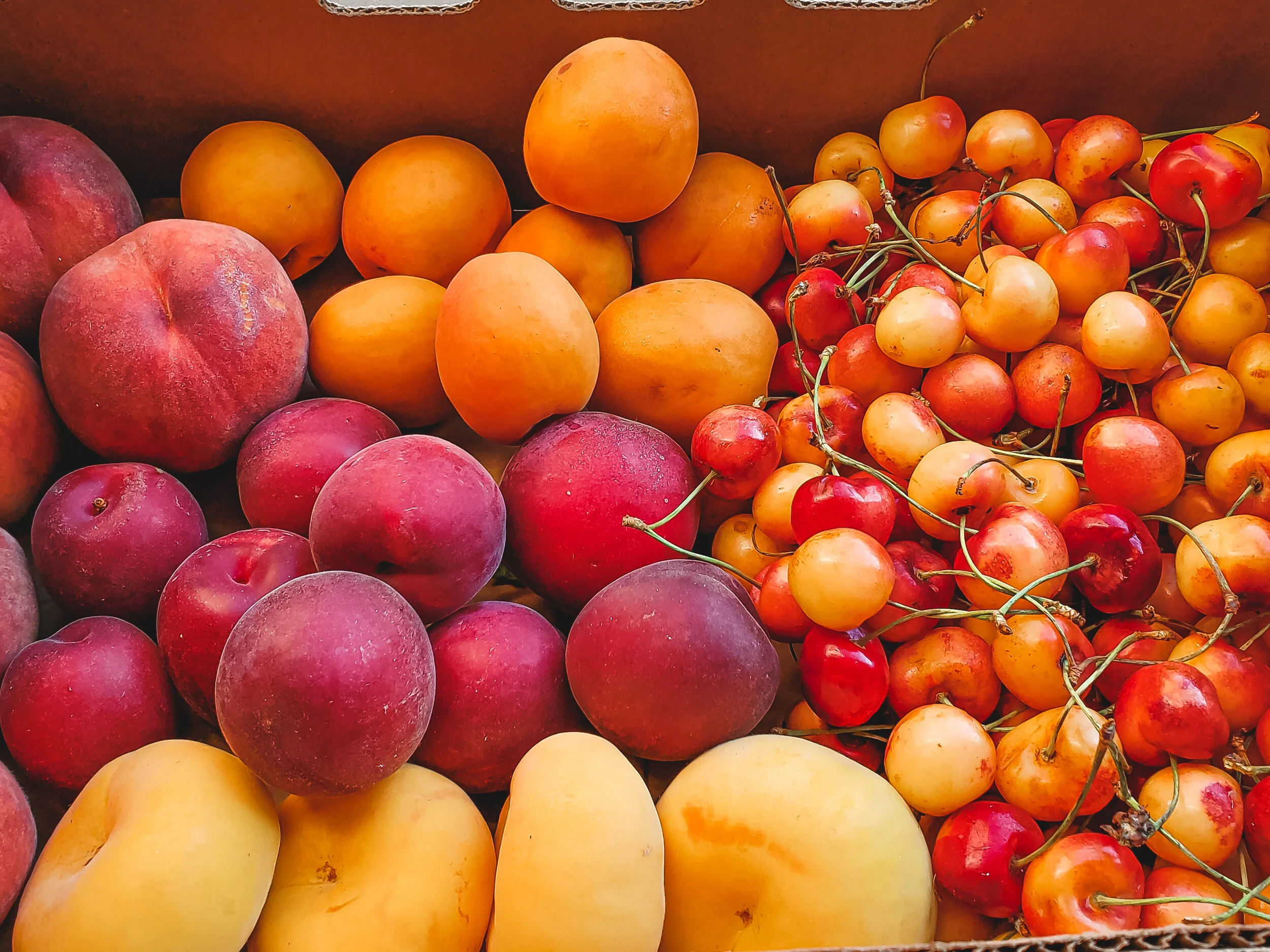 Farm Box — Tonnemaker Hill Farm
