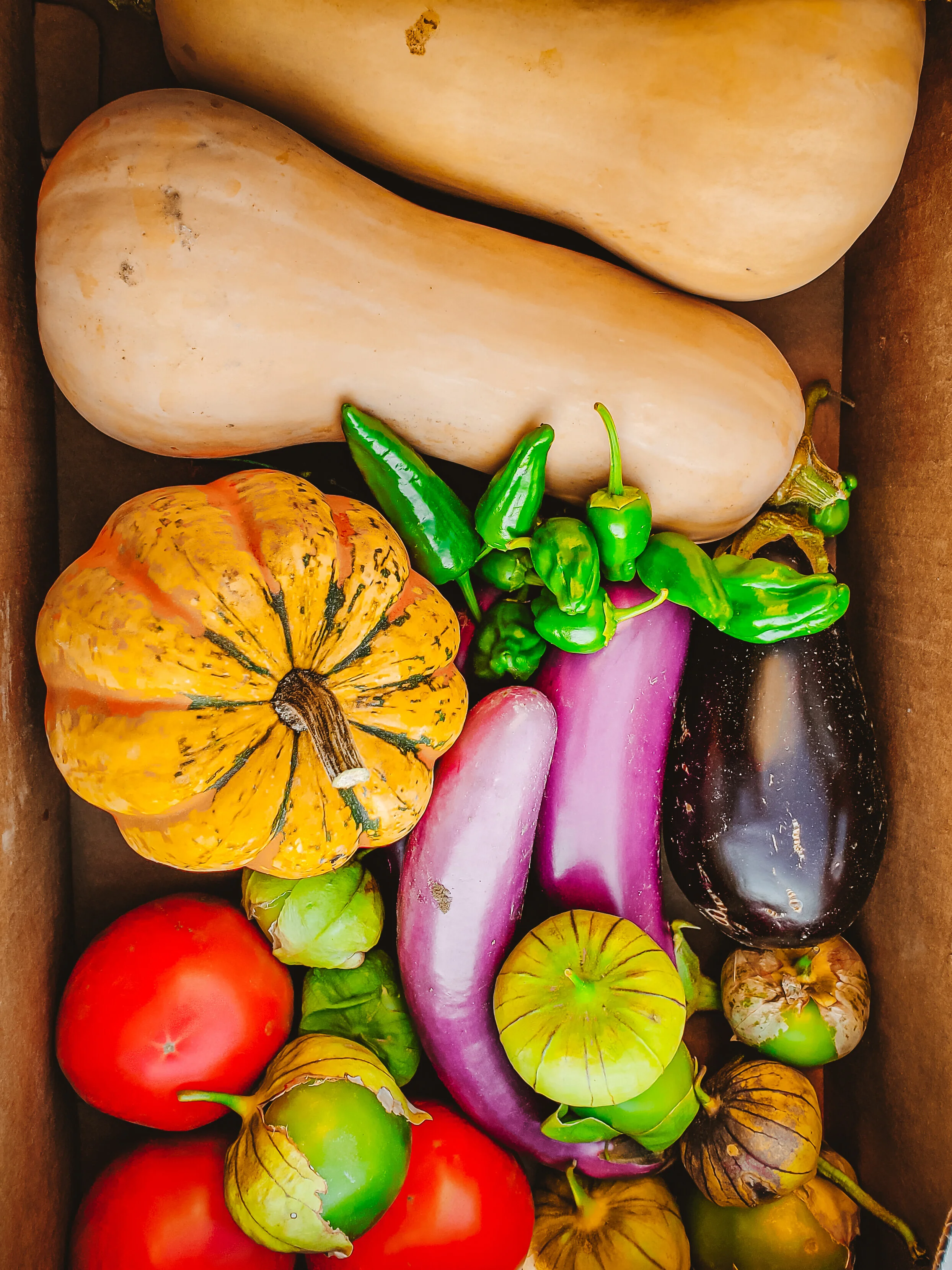 Farm Box — Tonnemaker Hill Farm