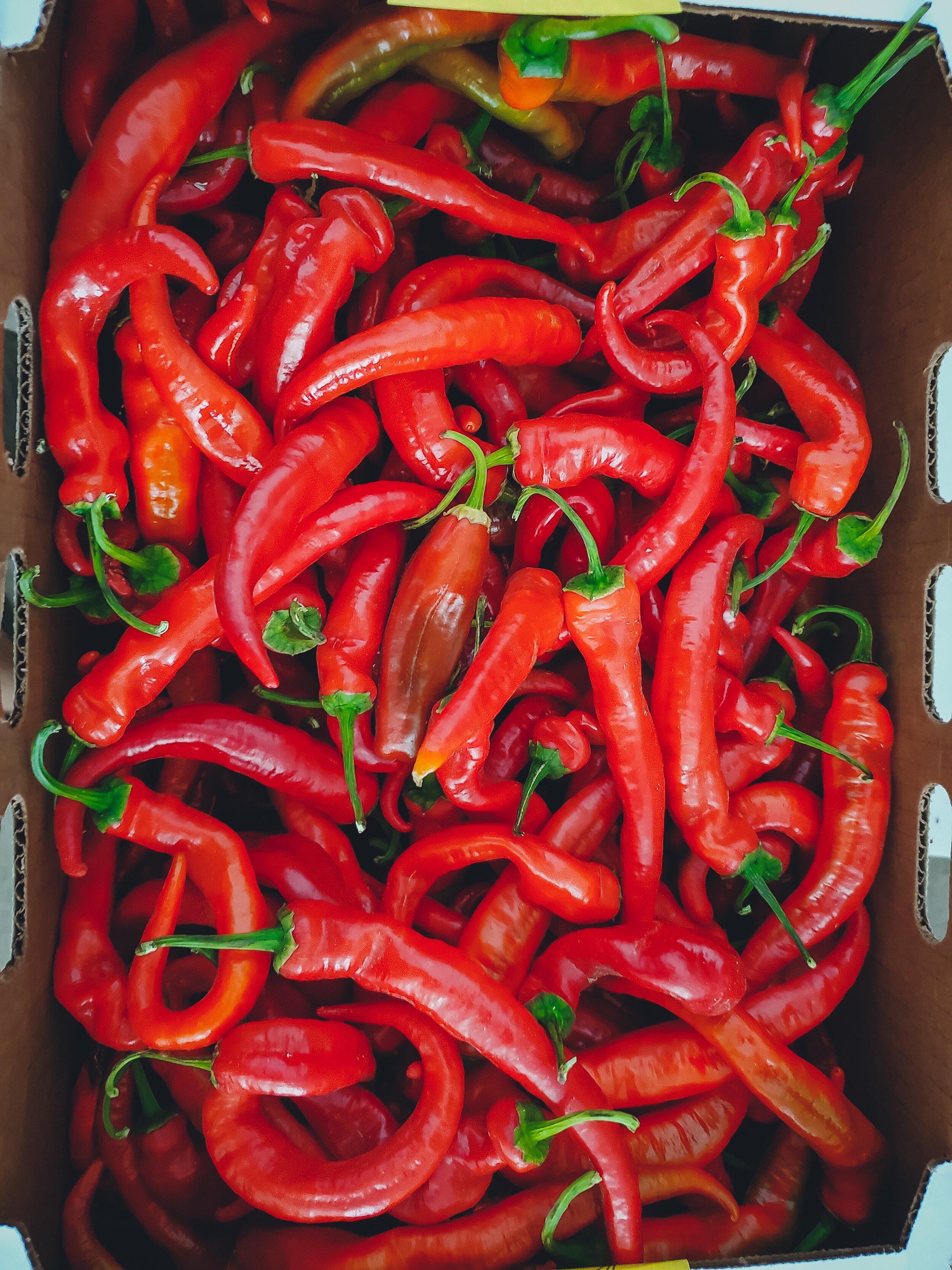 Farm Box — Tonnemaker Hill Farm