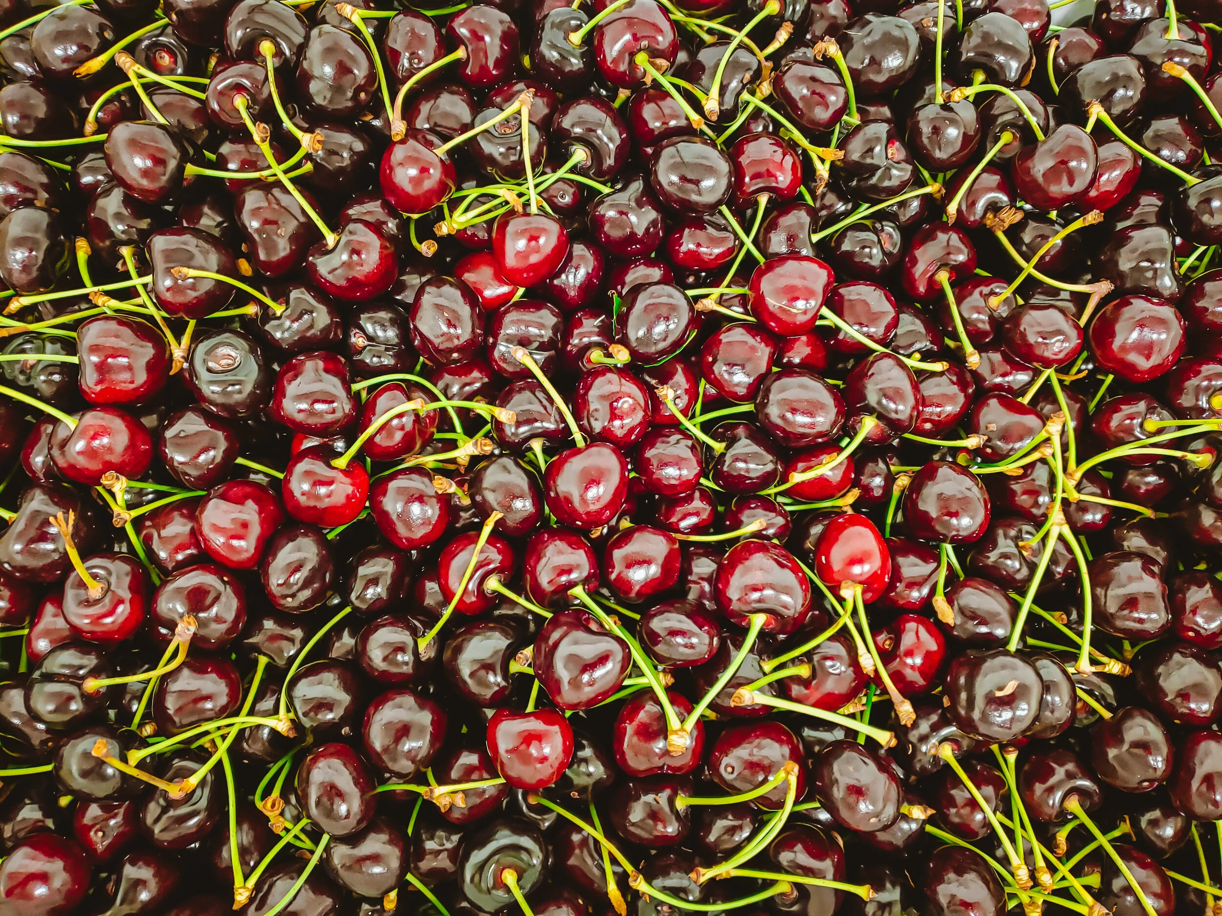 Farm Box — Tonnemaker Hill Farm