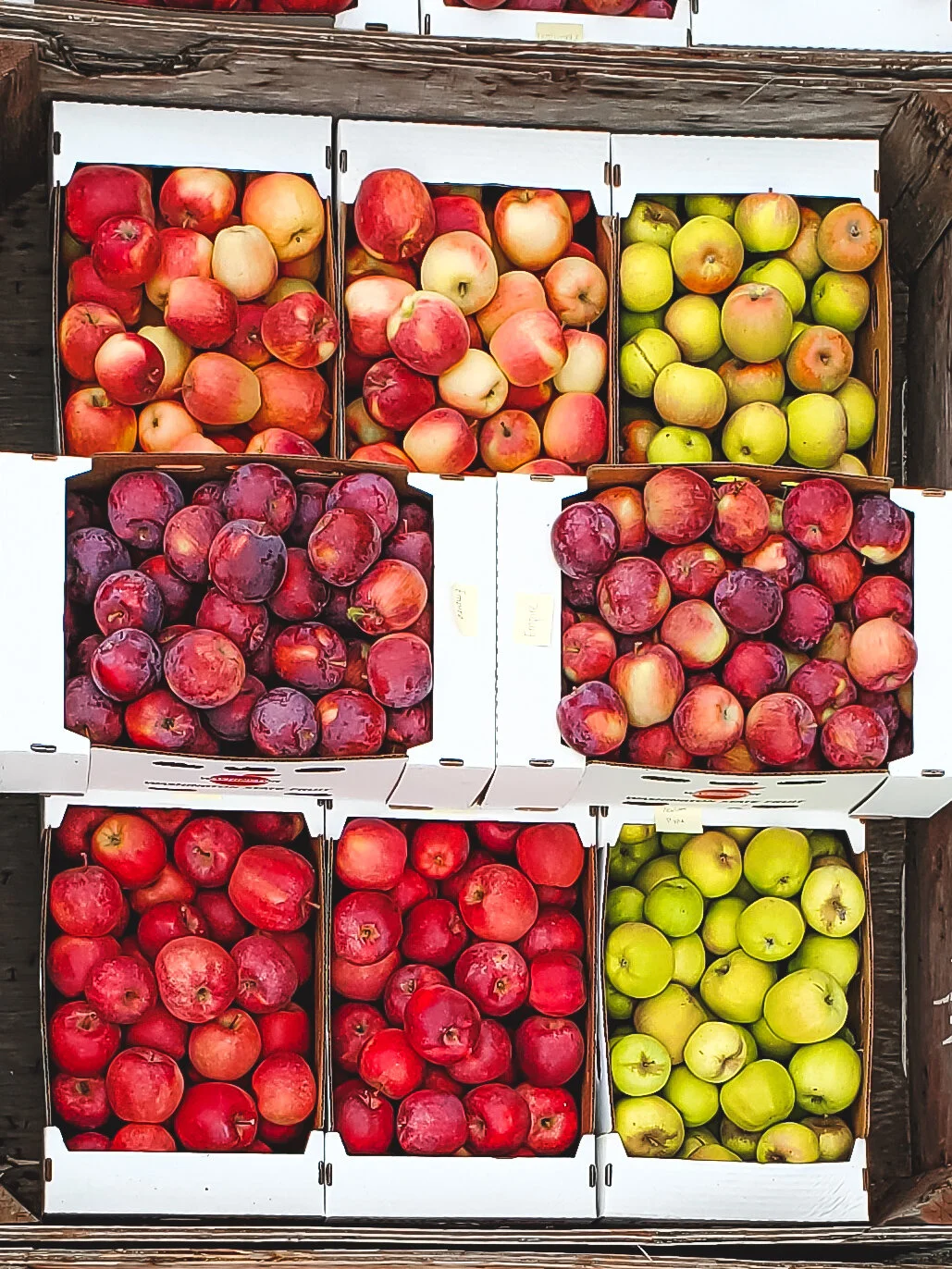 Farm Box — Tonnemaker Hill Farm