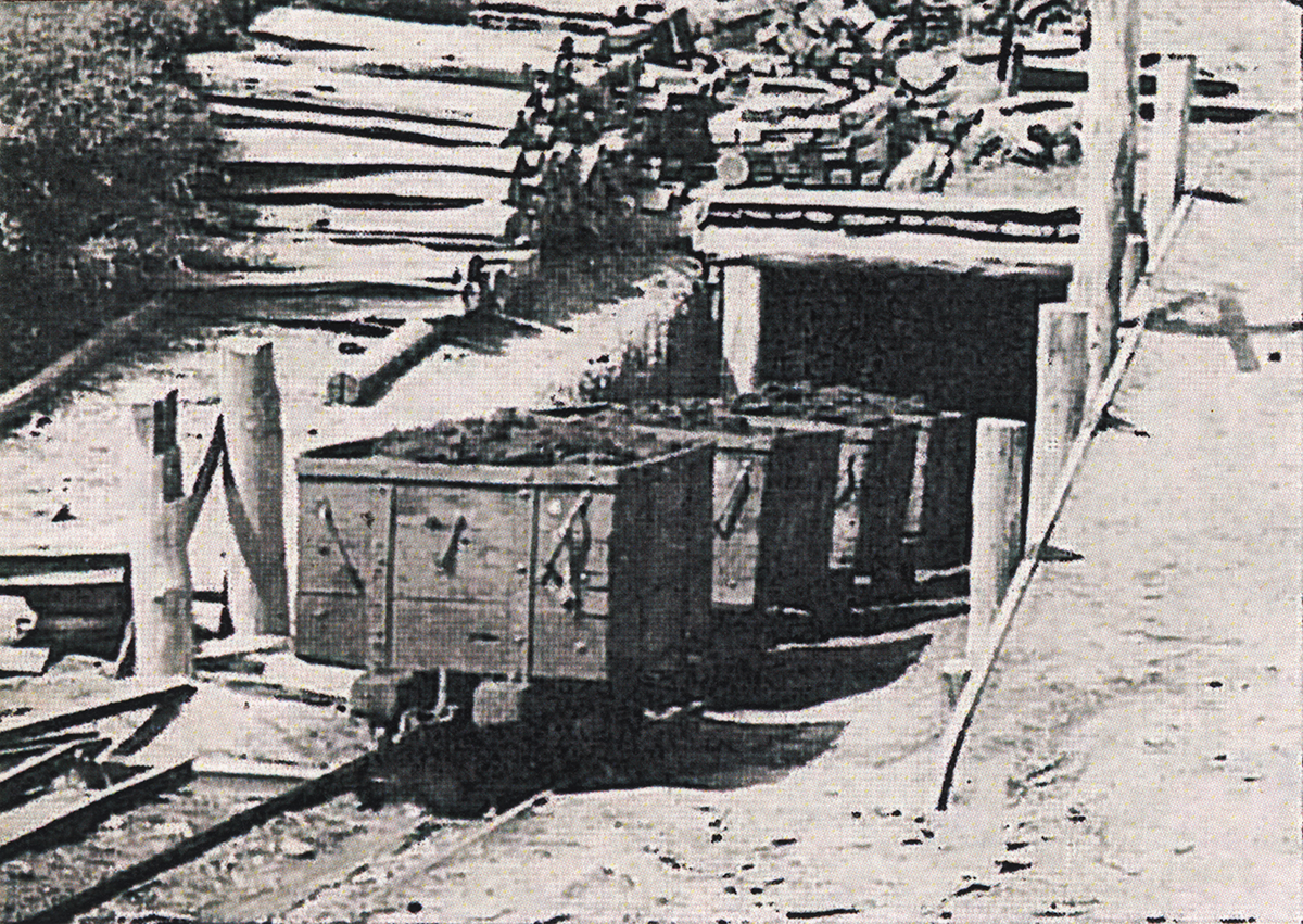 History — Maddingley Brown Coal