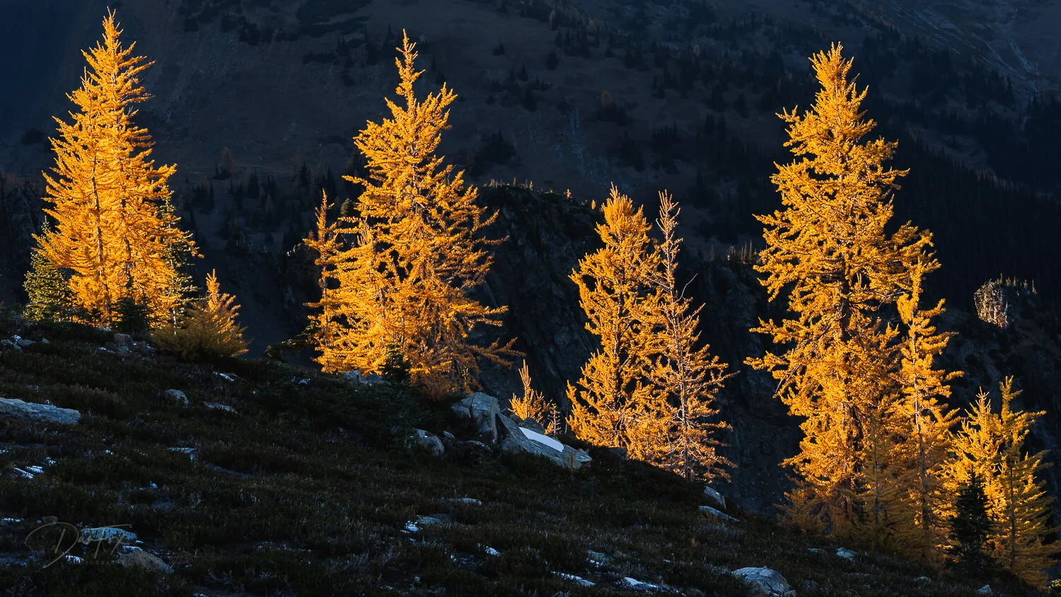 Larch Madness in the North Cascades! Breathtaking Views and Fall Colors ...