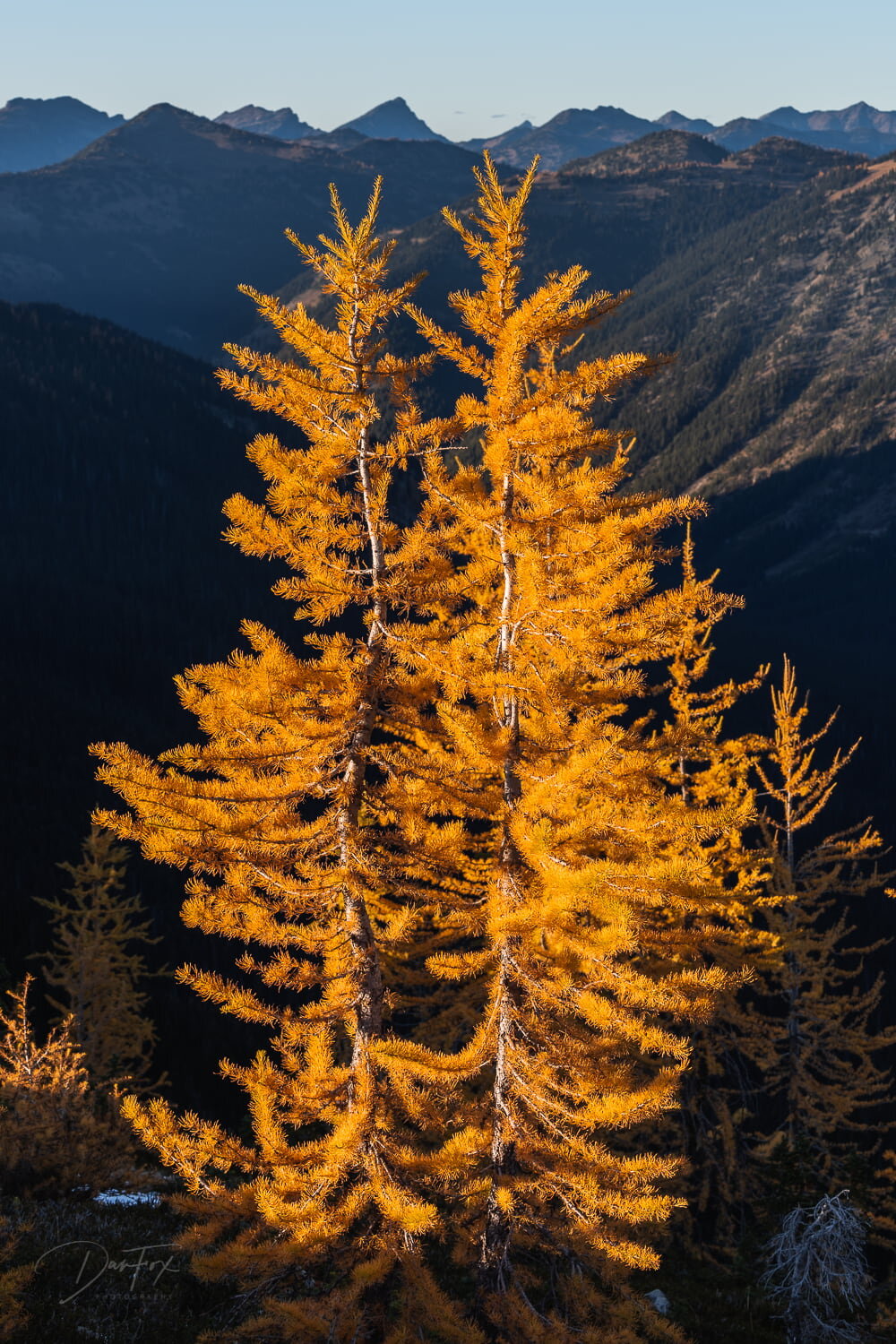 Larch Madness in the North Cascades! Breathtaking Views and Fall Colors ...
