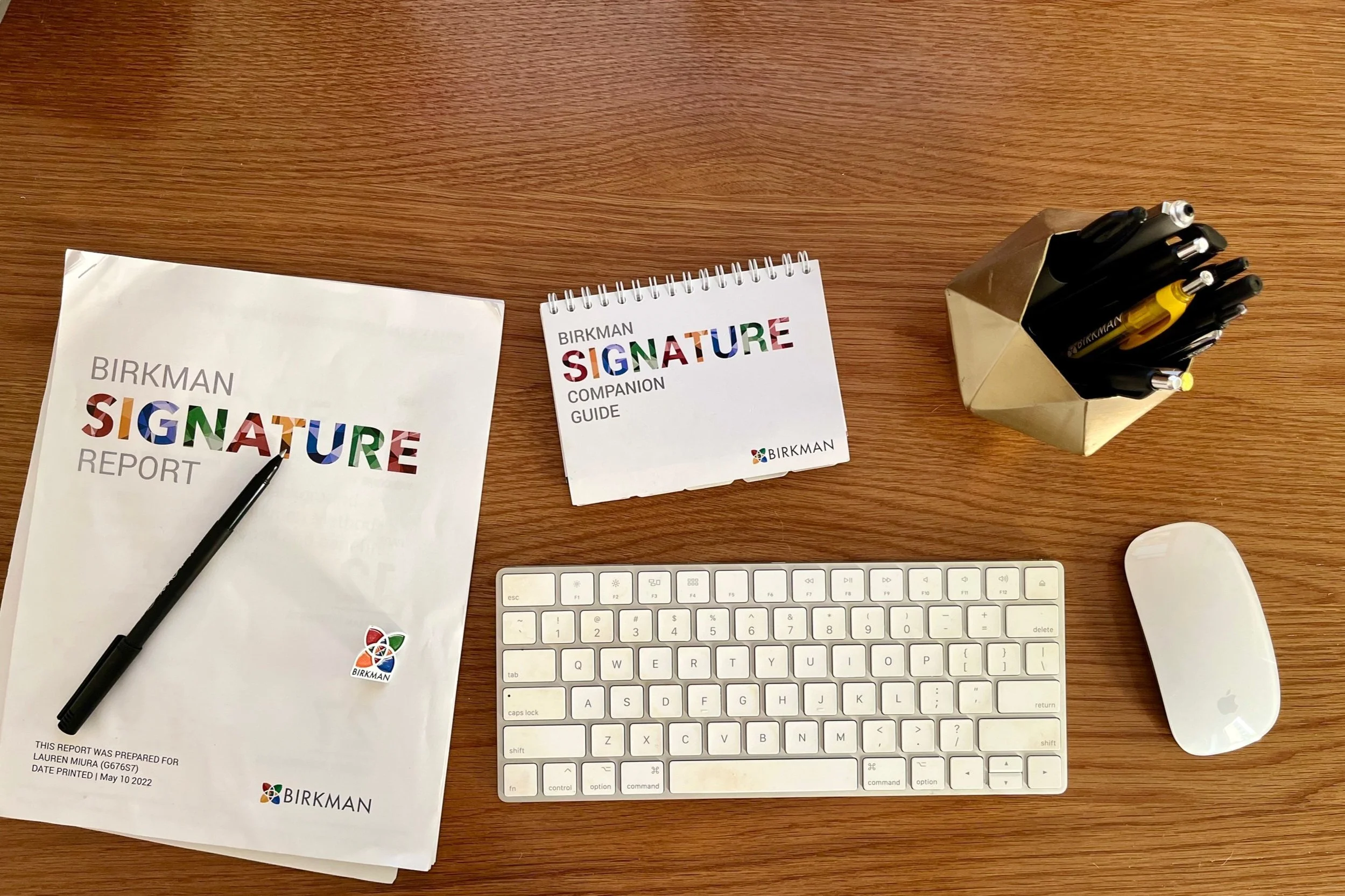 Birkman Signature Report | Lauren Miura Coaching