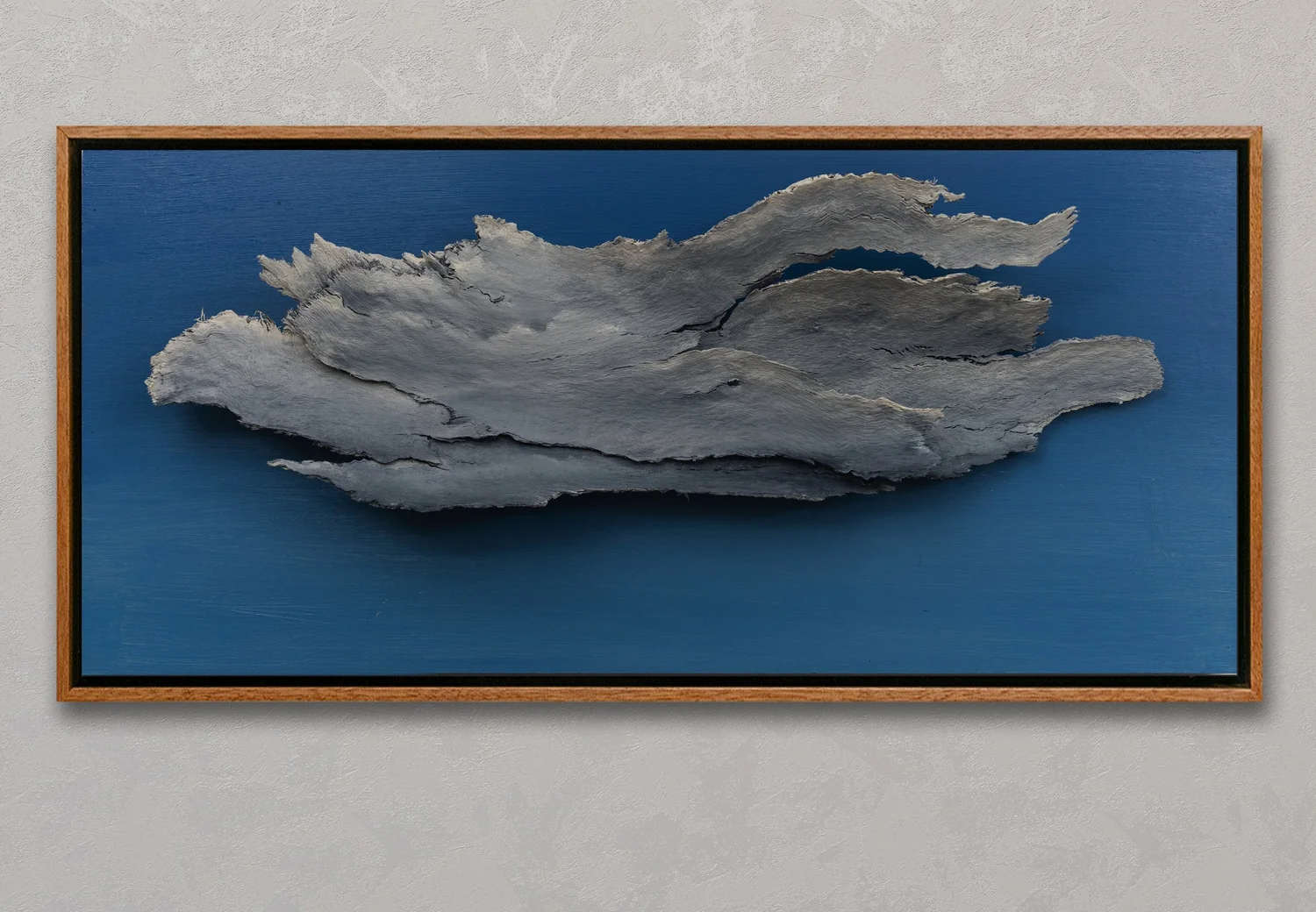 Cumulus Lyptus — Alex Harman | Tree Shells