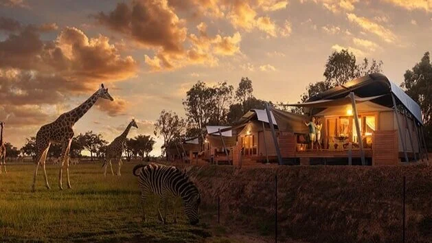 Dubbo Attractions — OFFICIAL SITE: Bluegum Dubbo Motel | Book Dubbo ...