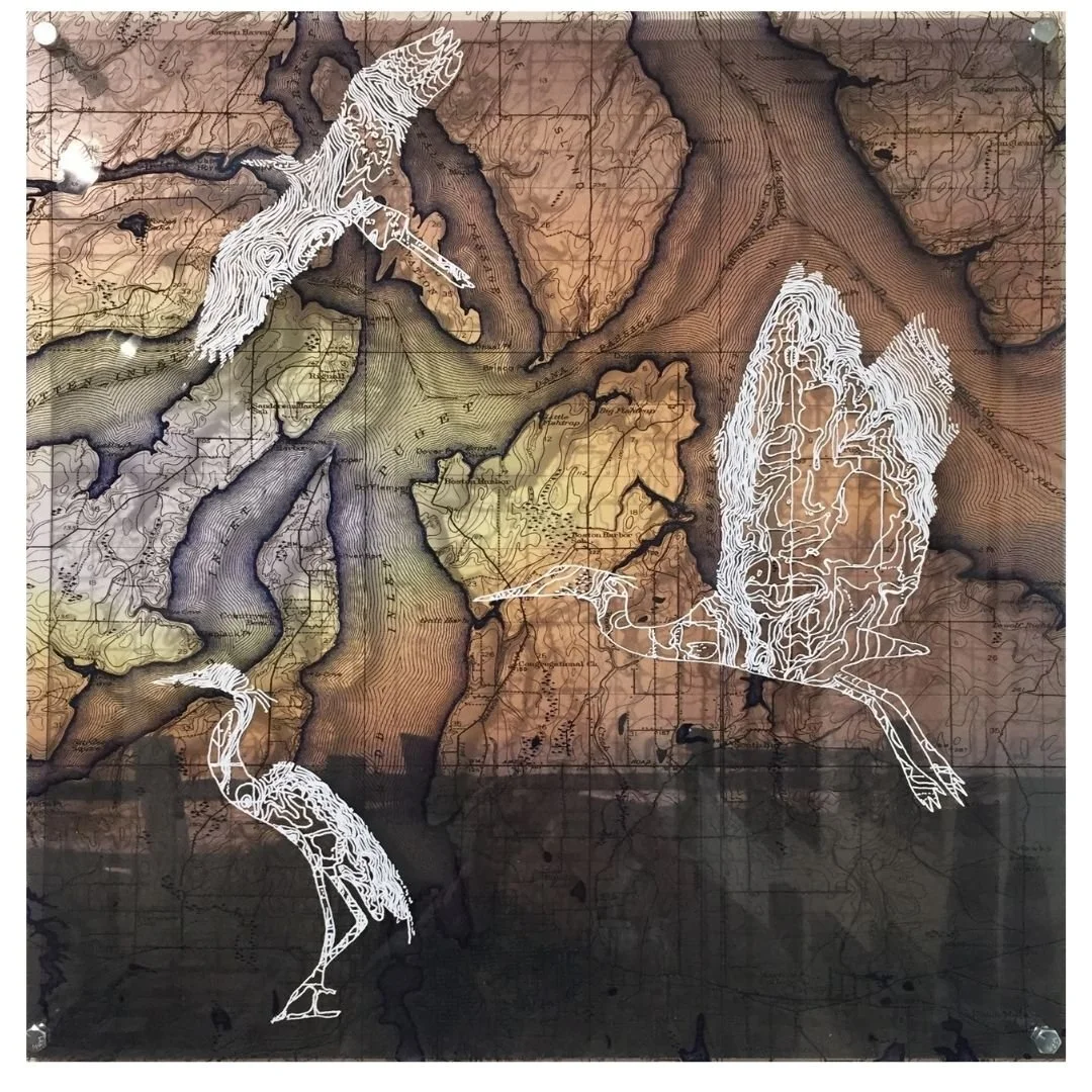 Artists — White Bird Gallery