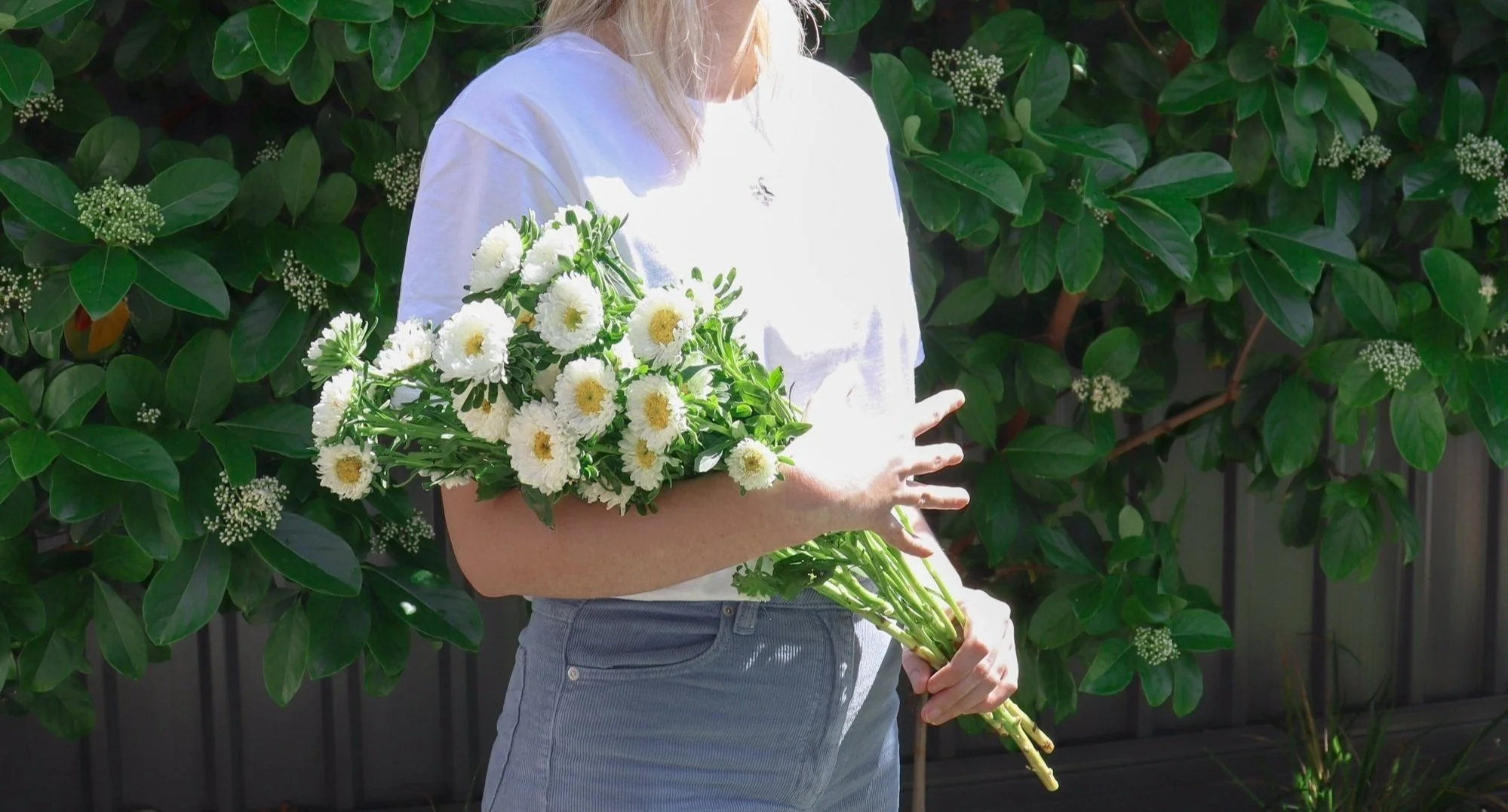 Contact — One Touch Studio