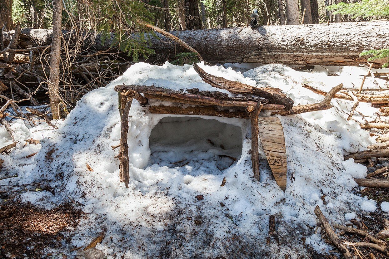 Gallery 1 — Wild Projects