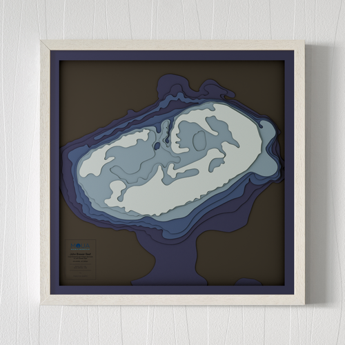 Great Barrier Reef 3D Relief Map / MOUA / Museum of Underwater Art