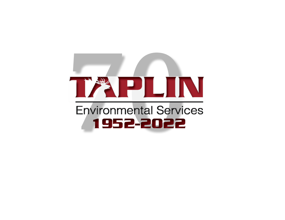 Taplin